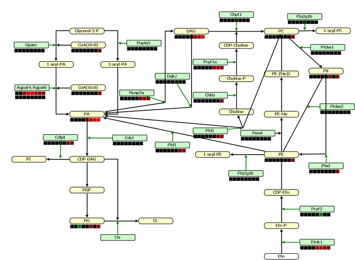LIPID MAPS® Lipidomics Gateway